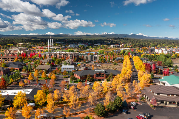 FALL IN THE OLD MILL - Pete Alport